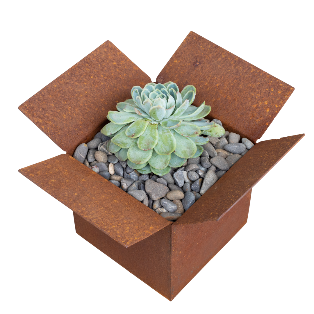 Tacklebox – No8 Wired Rustic Designs